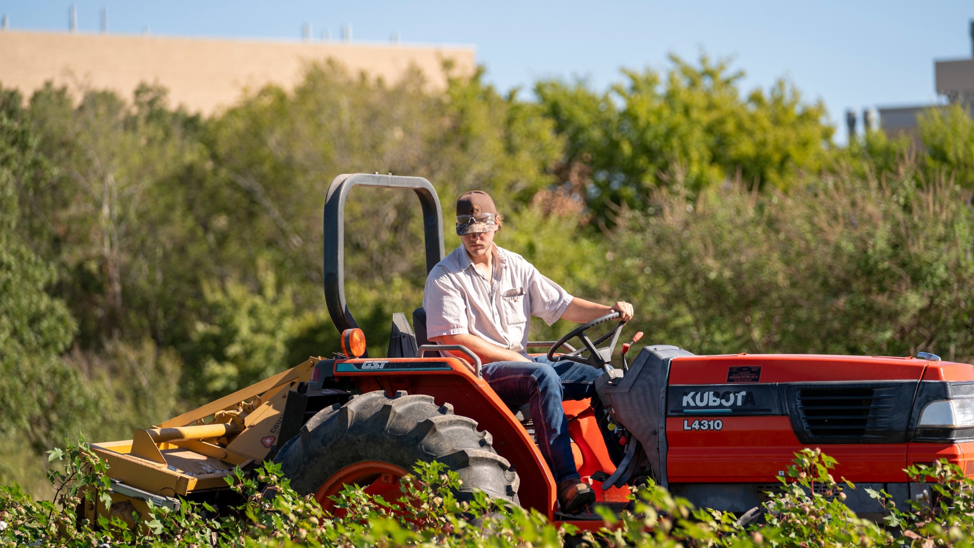 Texas A&M AgriLife Extension - FRESH TRAYS